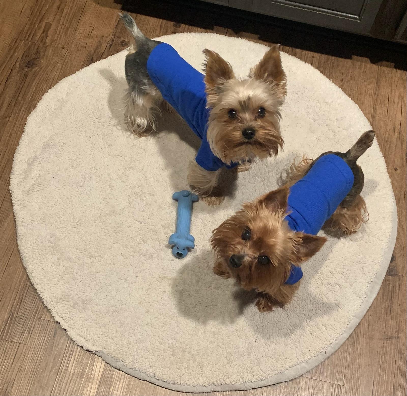 Debra Lopez – Allstate Car Insurance Agent Near Me in Conroe, TX