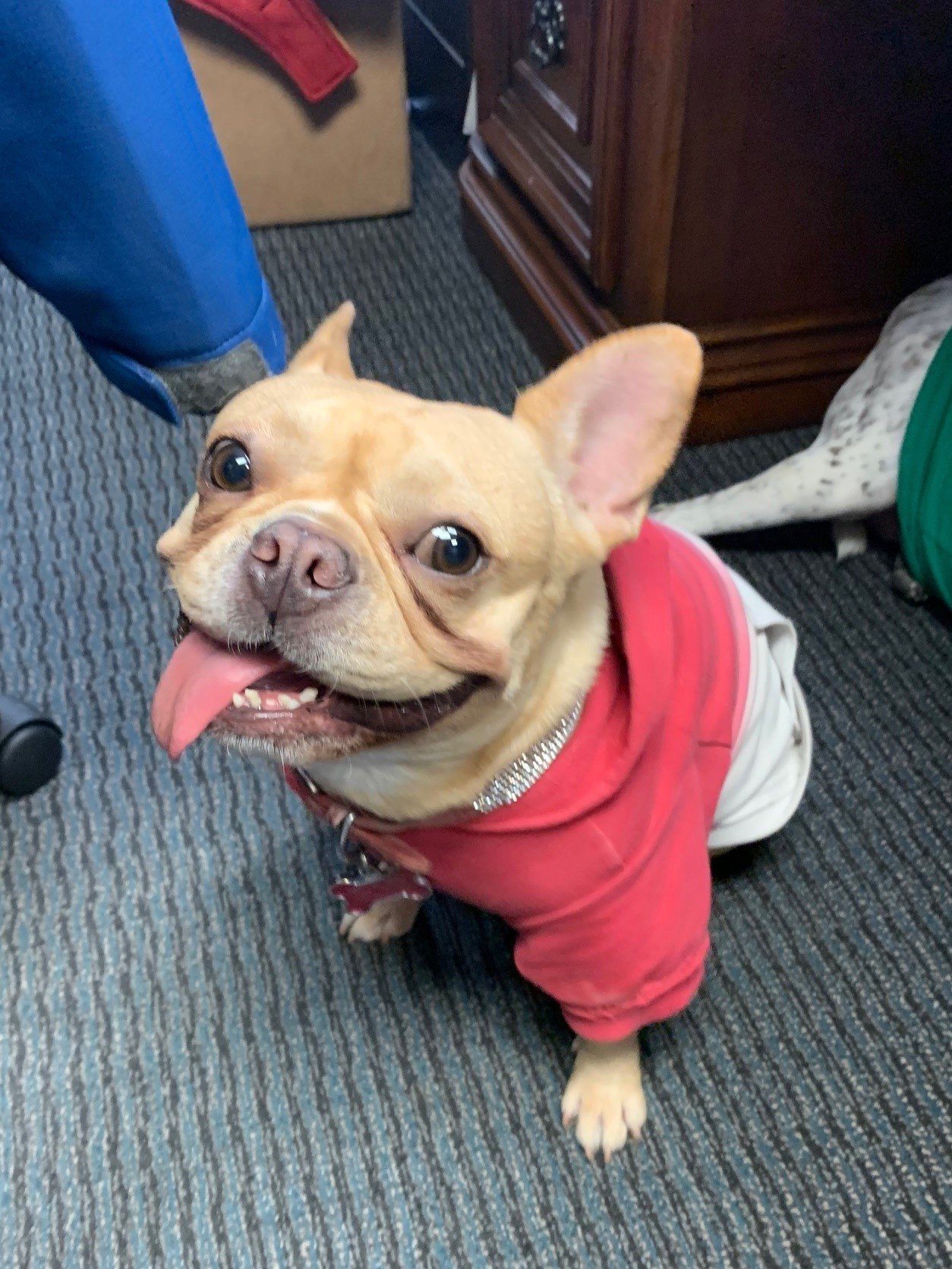 William McKone – Allstate Car Insurance Agent Near Me in Aurora, CO