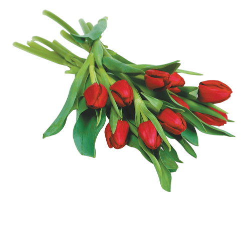 Grocery Store Near Me - Grocery Delivery Or Pickup - Springerville, AZ