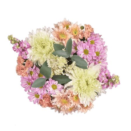 Grocery Store Near Me - Grocery Delivery Or Pickup - Springerville, AZ