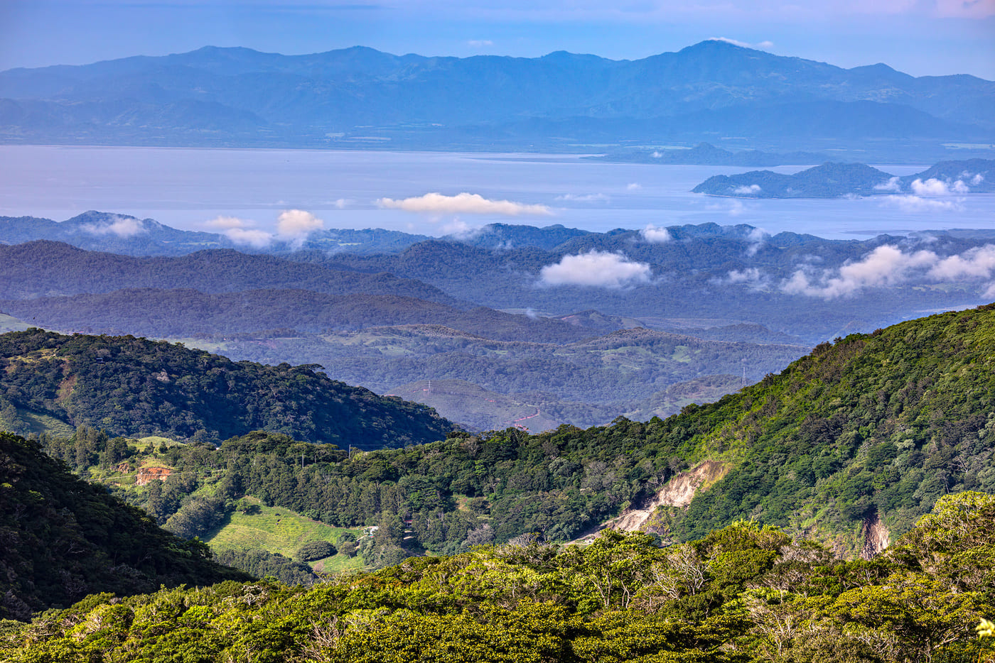 見ると幸せになれる？幻の鳥ケツァールを追いかけて～コスタリカ～【StudioJTB】 | JTBスタッフのおすすめ旅記事&ブログ