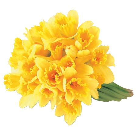 Grocery Store Near Me - Grocery Delivery Or Pickup - Springerville, AZ