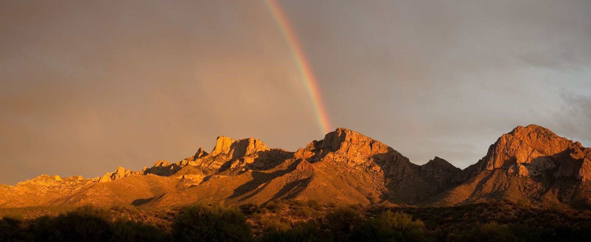 Oh, Say, What You Can See - Carol Ann Ruehl | Morgan Stanley