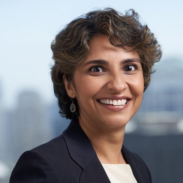 Niesha Parekh | Graystone Consulting - Chicago, Il Stephans Van Liew ...