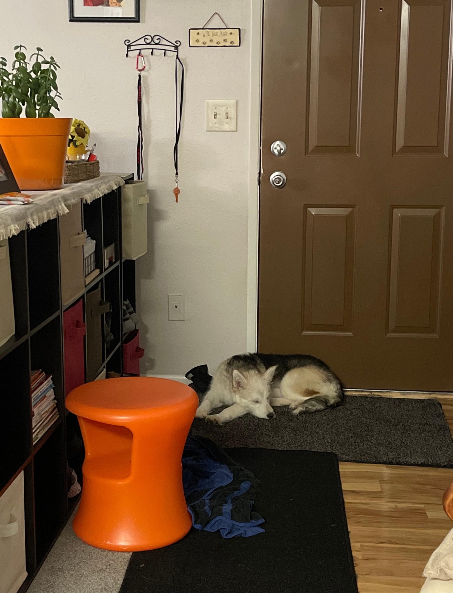 Edward Anderson - Allstate Insurance Agent in Wasilla, AK