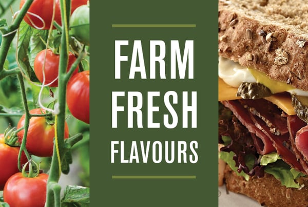 Maxol Deli - The Maxol Group