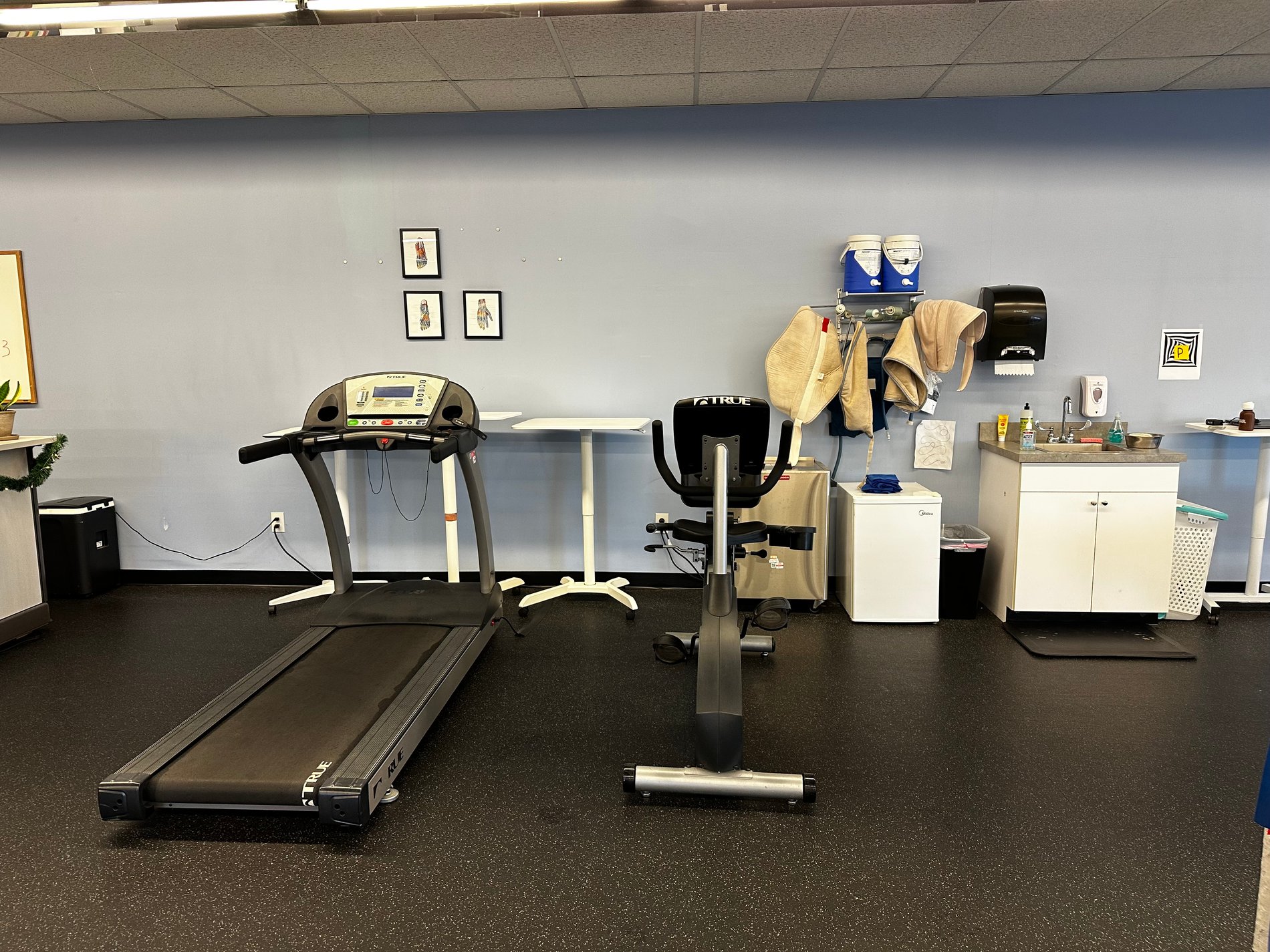 Physical Therapy Concord, NH | MVPT Physical Therapy