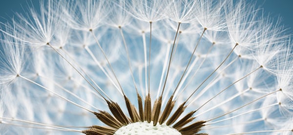 The Javaheri Group | Wellesley, MA | Morgan Stanley Wealth Management