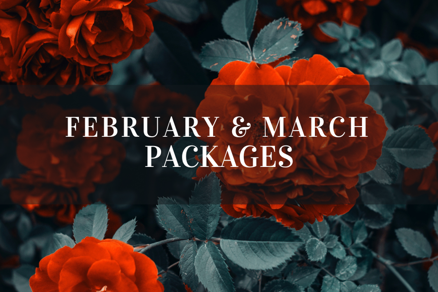 Spa Services | Greenville, SC | Woodhouse Spa