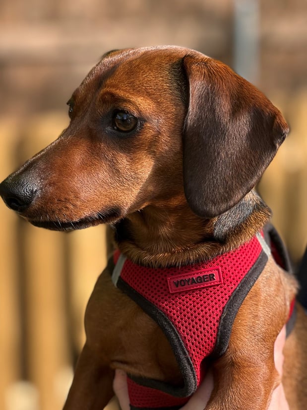 Kenneth Zschappel - Allstate Insurance Agent in New Braunfels, TX