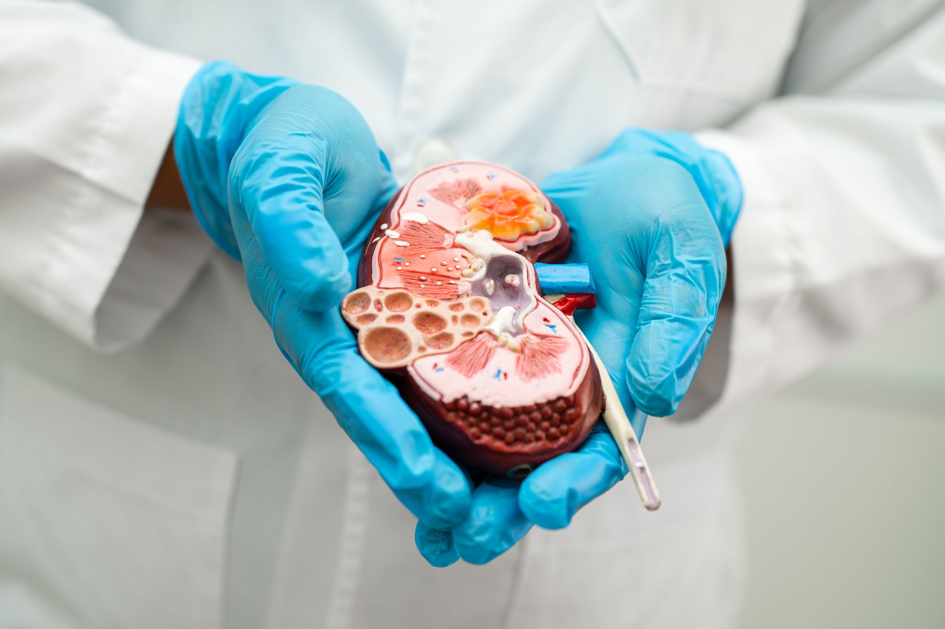 Laboratoire Regard - Biogroup