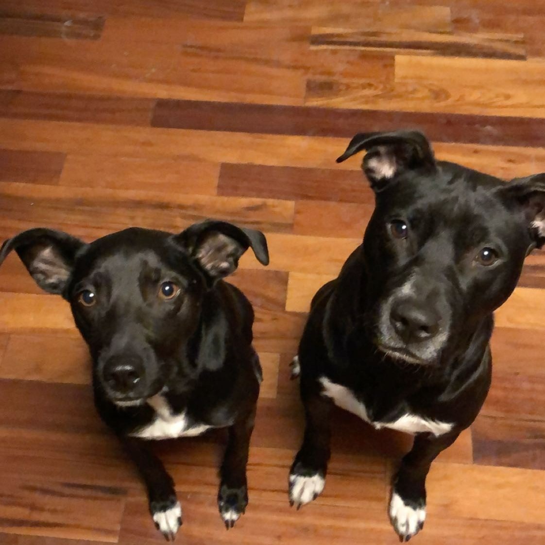 Jamie Timmons – Allstate Car Insurance Agent Near Me in Cornwall, NY