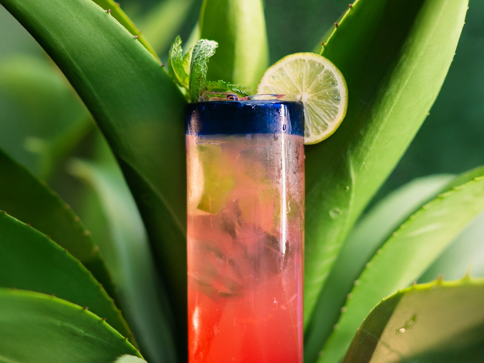 Blanco Cantina Saskatoon - Cumberland | Mexican Restaurant | Bar ...