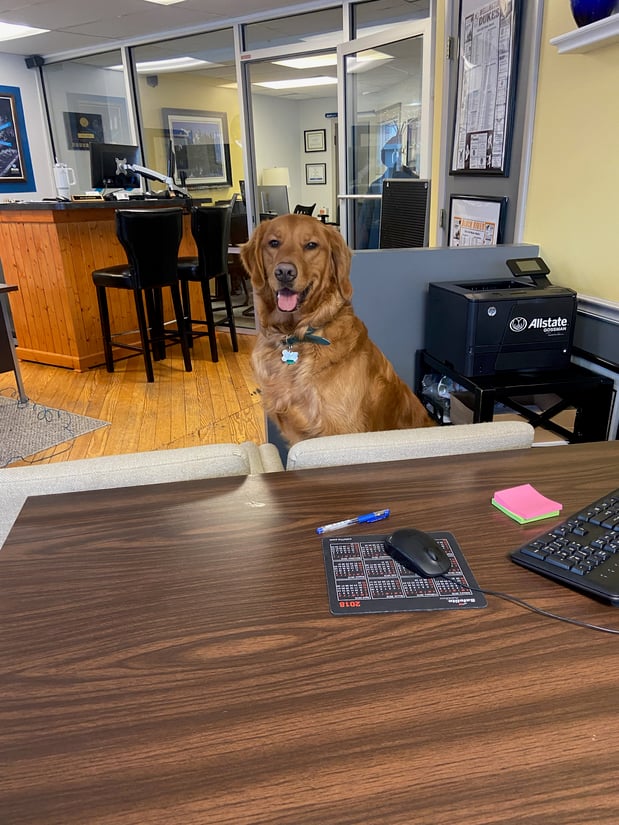 Daniel Gossman - Allstate Car Insurance Agent in Wellington, OH