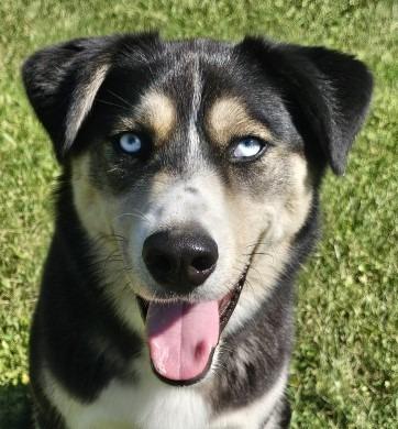 Brian Patrick Burwell – Allstate Car Insurance Agent in Peoria, IL