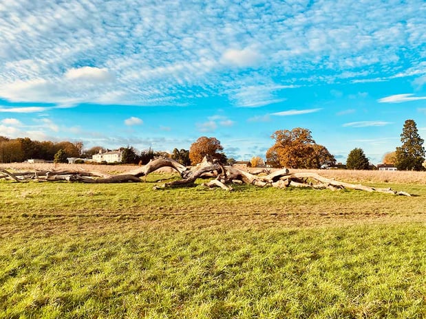 Gordon Barber Funeral Directors, Here for your Family | Gordon Barber ...