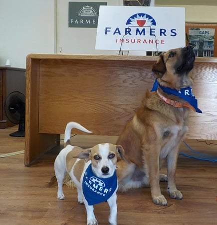 Scott Heavin - Farmers Insurance Agent in Cyril, OK