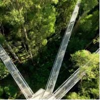 Paragon HM Wealth Management Group | Birmingham, AL | Tuscaloosa, AL ...