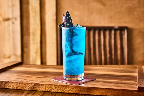 Outback Steakhouse in Durham, NC off Mount Moriah Road