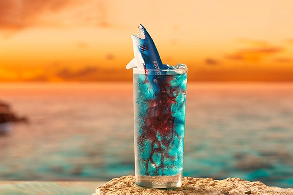 Outback Steakhouse in Florence, SC off Dunbarton Drive