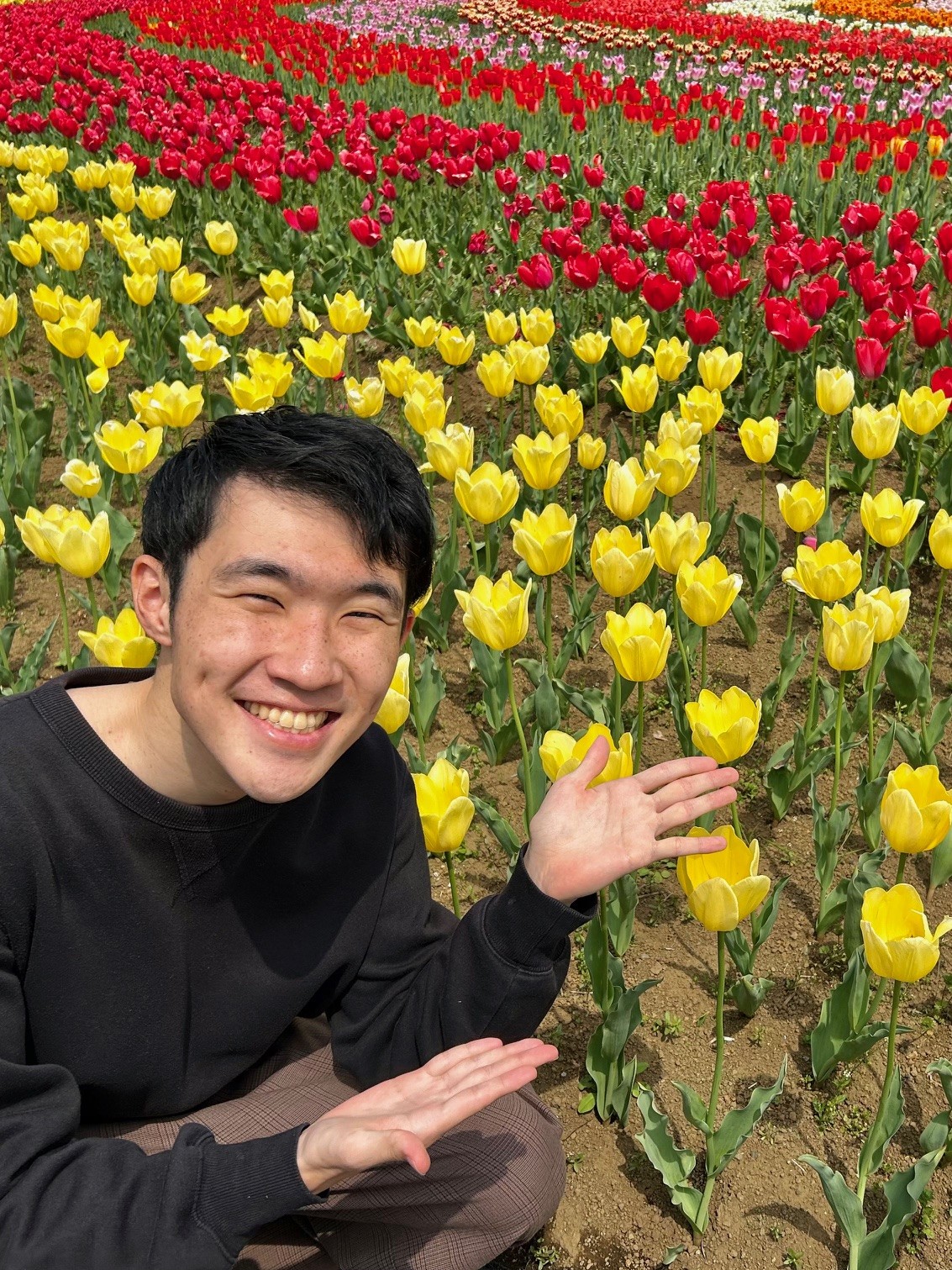 JTBトラベルコンサルタント | 片倉 悠希