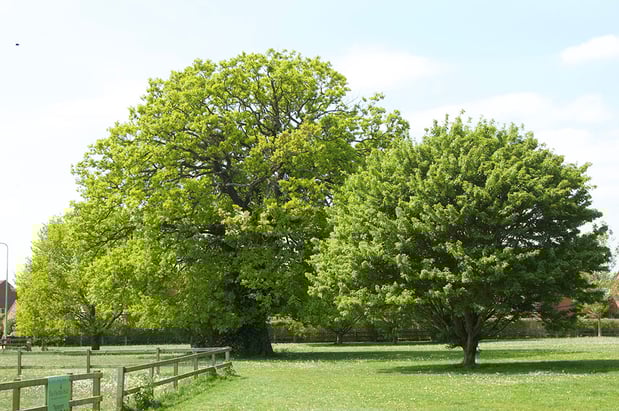 Gordon Barber Funeral Directors, Here for your Family | Gordon Barber ...