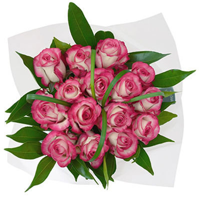 Debi Lilly Flowers Care | Best Flower Site