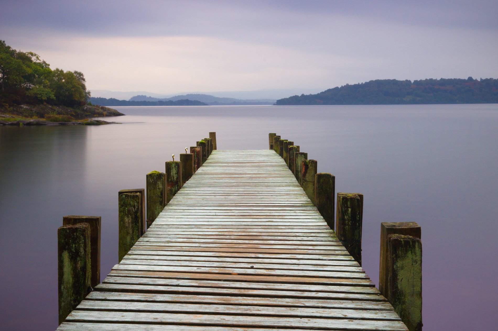 4 Ways Investors Can Act on Climate Change - The Triad Group | Morgan ...